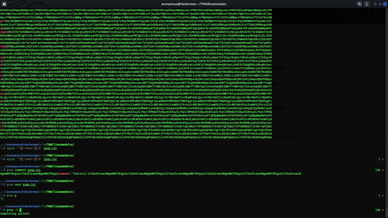 TryHackMe #398 Linux Modules