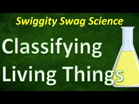 classification of living things lecture