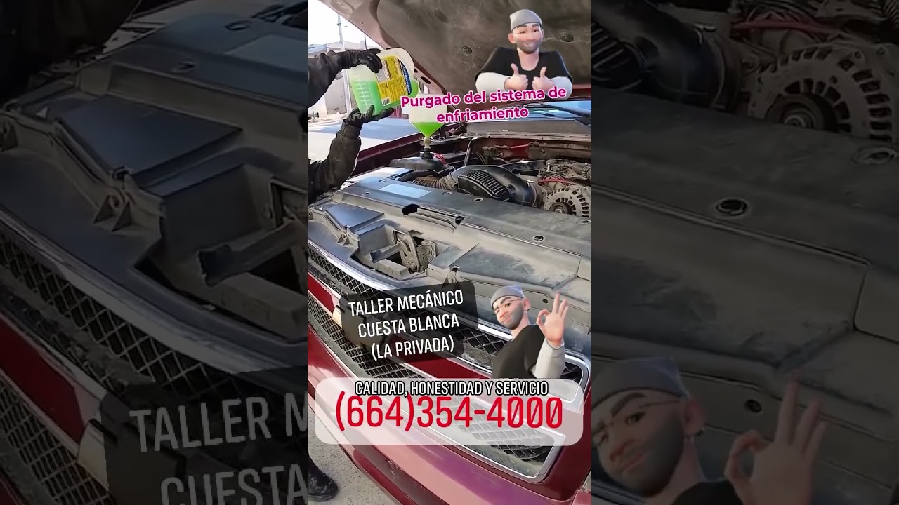 471929784 8834095896668080 1336643635088867886 n