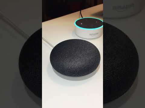 Smart Mini Speaker Showdown: What is Cricket ?. Echo ✔️ vs Google Home Mini ✖️