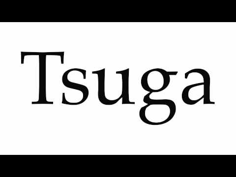 How to Pronounce Tsuga
