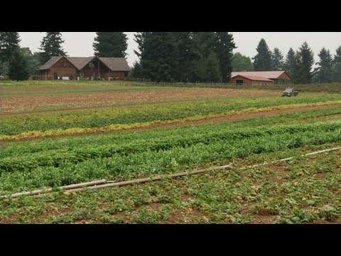 The Encroaching Urban Growth: A Farmer's Perspective on Expanding City Limits