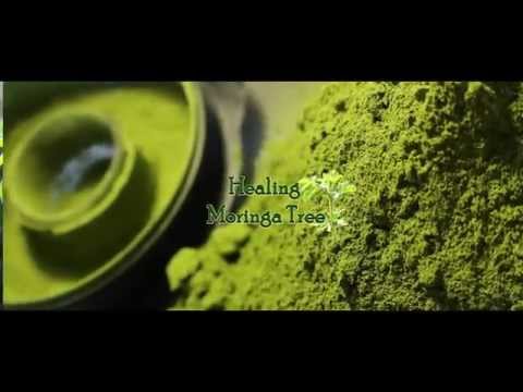 Organic Moringa Powder (Mega Green)