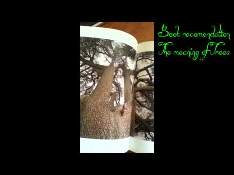 The meaning of Trees