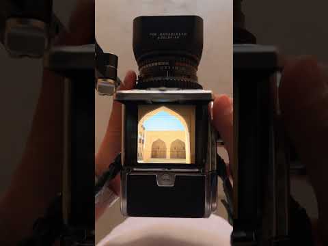 Hasselblad Viewfinder ASMR: A Visual Symphony in Doha
