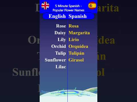 5 Minute Spanish - How to Say Popular Flower Names in Spanish for Beginners