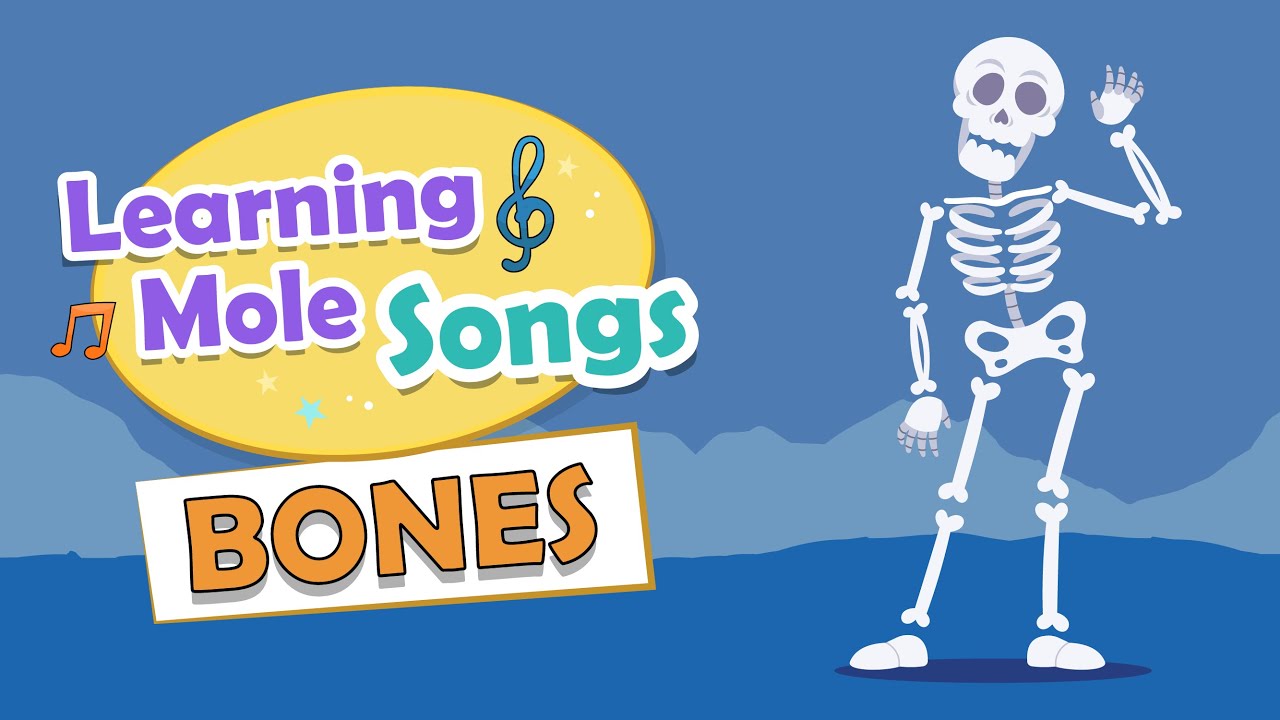 Bones Song for Kids | Science Songs for Kids | Skeleton for Kids  | Facts about bones for kids