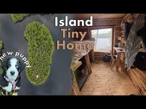 Island Tiny Home Done?! Solar and NEW Puppy! | Building a Log Cabin on Our Island Ep.20