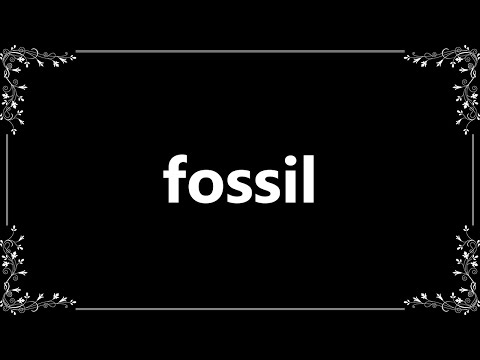 Fossil - Meaning and How To Pronounce