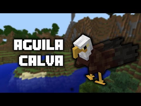 Águila calva - Alex´s Mobs