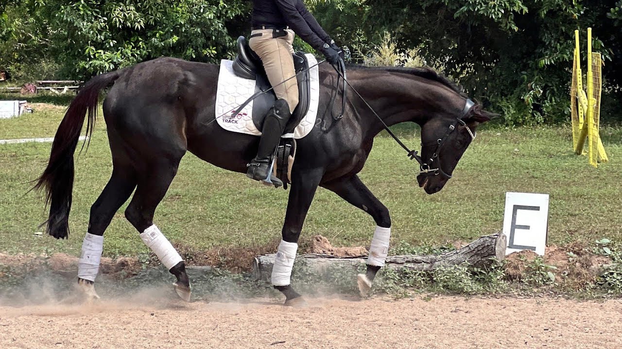 EDIFICATION APH Prepatory 2