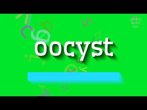 OOCYST - HOW TO SAY OOCYST? #oocyst