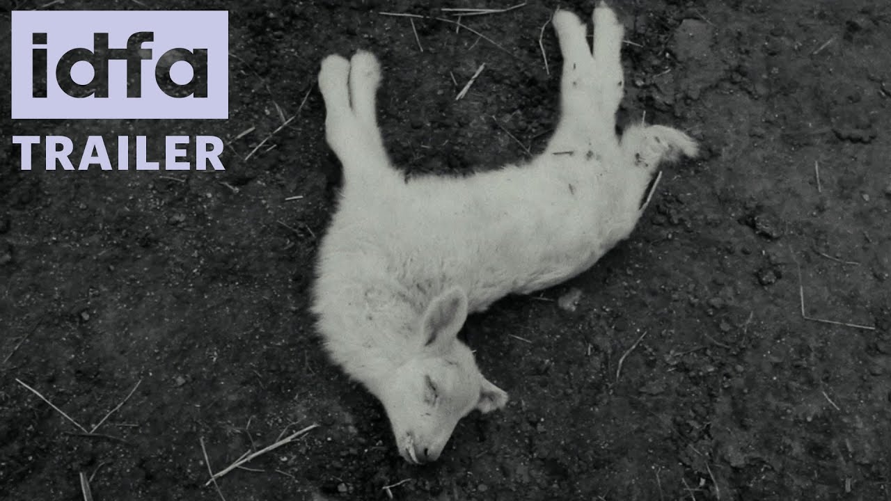 IDFA 2025 | Trailer | Blood Red