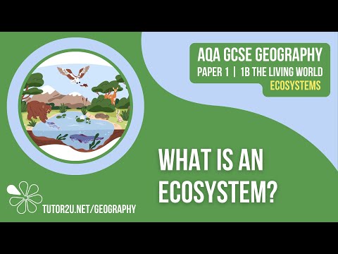 What is an Ecosystem? | AQA GCSE Geography | Ecosystems 1