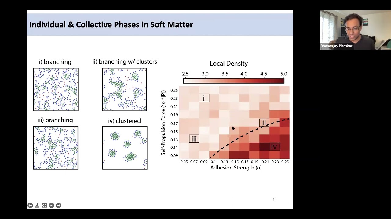 Dhananjay Bhaskar (3/2/22): Data-Driven Modeling & TDA of Self-Organized Multicellular Architectures