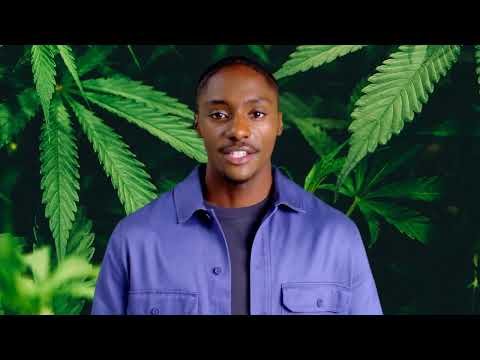 Gin & Juice Clean Radio Version Snoop Dogg Lyrics Spoken