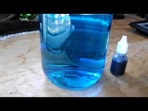 A Good video on using Methylene blue to care for sick and quarentined ...
