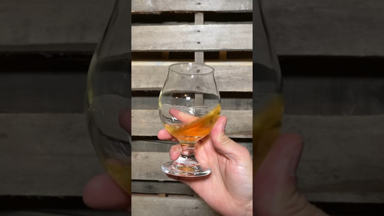 Cider Tasting | Making Homemade Cider #shorts #homebrew