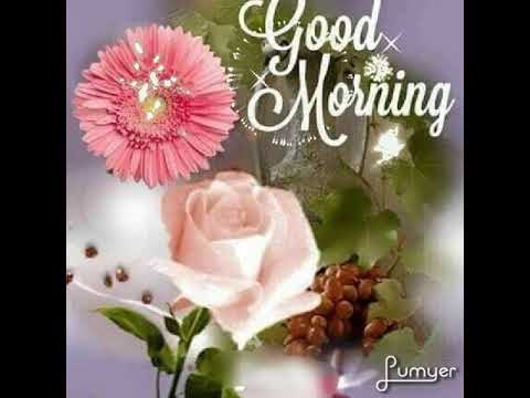 Good Morning gif