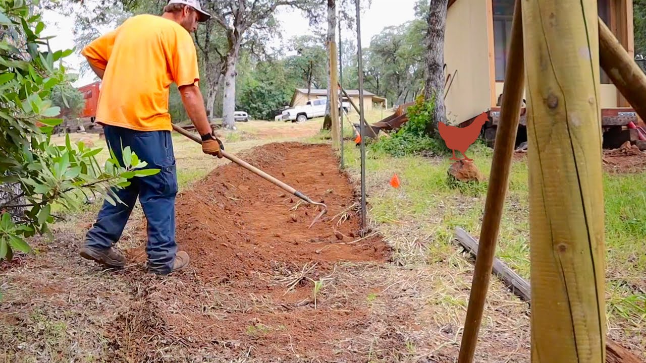 PREDATOR PROOFING the Chicken RUN | Chicken Coop PART- 9