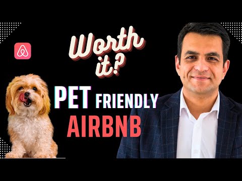 Pet Friendly Airbnb: What Every Host Needs to Know!