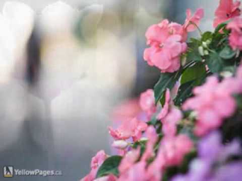 J & J Florists Ltd - Fonthill