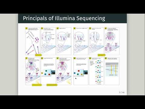 Introduction to Biocondutor (Part 4)