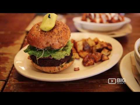The Organic Grill Vegan Restaurant New York for Healthy Food and Organic Food