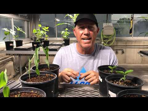 What is light spectrum and how can you measure the light quality of grow lights?