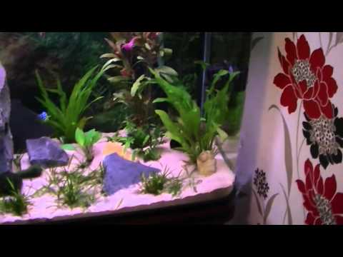 Boyu Fish Tanks - Wholesale Price & Mandi Rate for Boyu Fish Tanks
