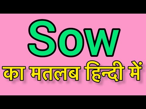 Sow meaning in Hindi & English |Sow ka matlab kya hota hai | word meaning English