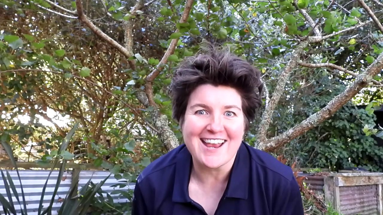 Episode 2 -  Finding and Identifying Bugs