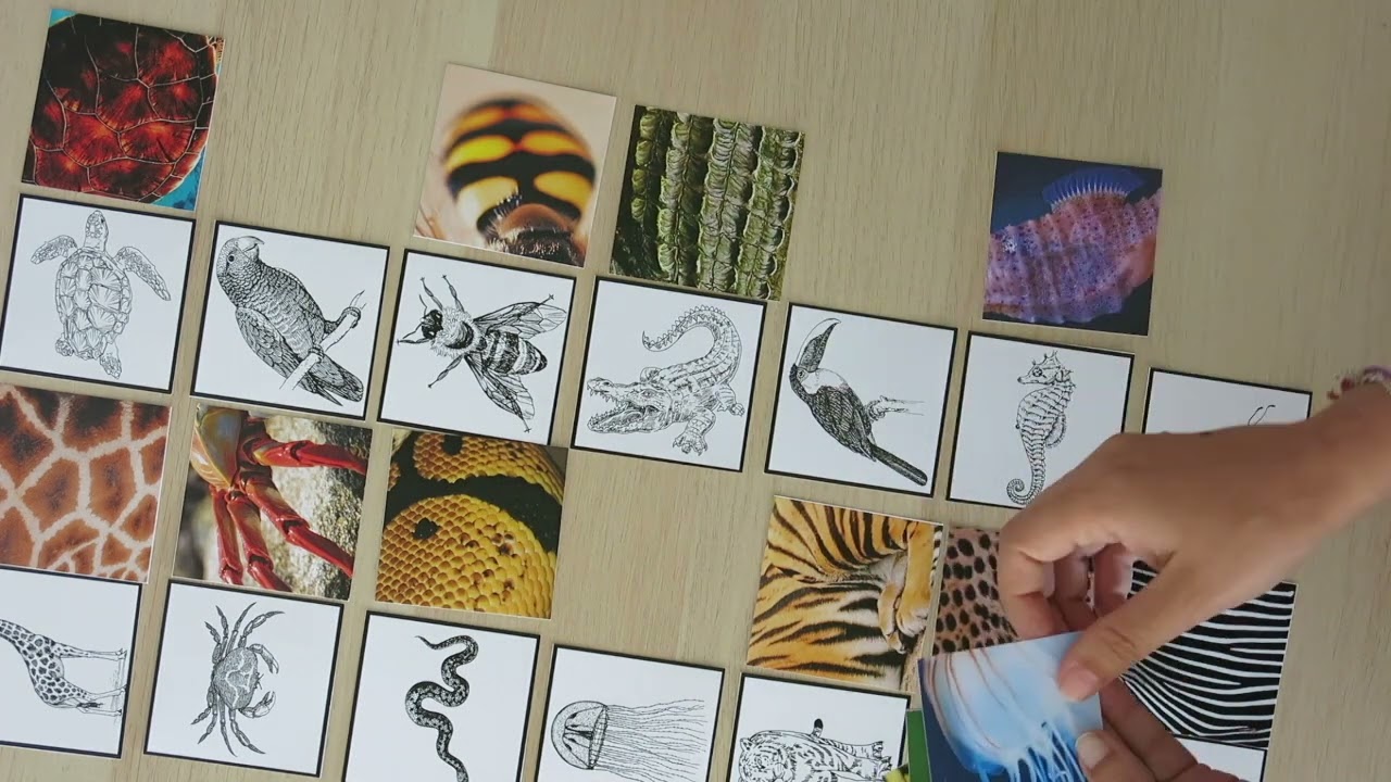 Cómo jugar a emparejar animales (How to match up animals in our game)