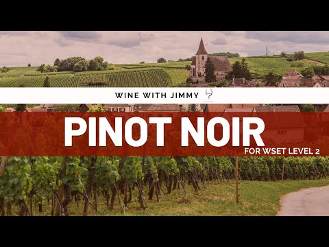 Key Grape Varieties: Pinot Noir - Beginner's Version for WSET Level 1 and Level 2 Wine