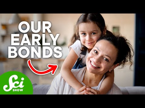 How Your Childhood Defines Your Attachments as an Adult