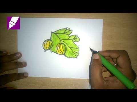 How to Draw a Gooseberry | How to Draw Fruits | Easy Step by Step ...