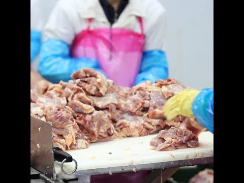 New CDC data shows chicken most likely to make you sick