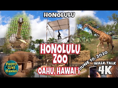 Honolulu Zoo Oahu Hawaii June 10, 2020 Things to do in Hawaii