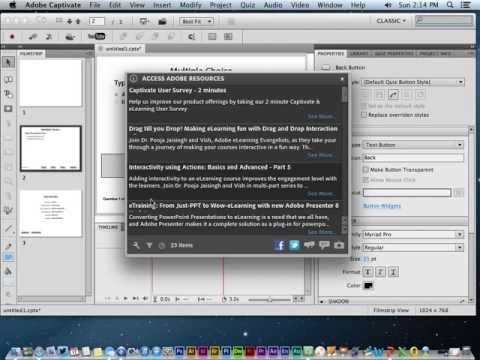 Creating custom buttons in Adobe Captivate | askmrkelly