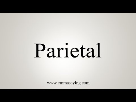 How To Say Parietal