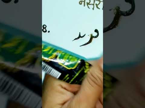 isalmic urdu girls name#farida urdu name🥰#youtube #shorts #neeta mehndi koon