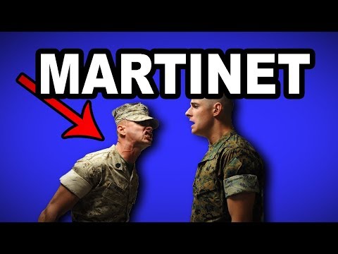 Learn English Words - MARTINET - Meaning, Vocabulary with Pictures and Examples