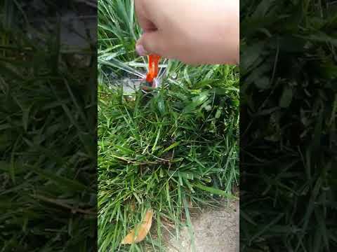 Hunter MP rotators 1000 90 210 and side strip