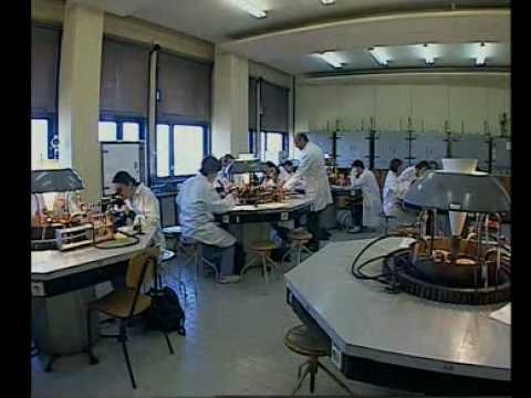 Faculty of Food technology and Biotechnology