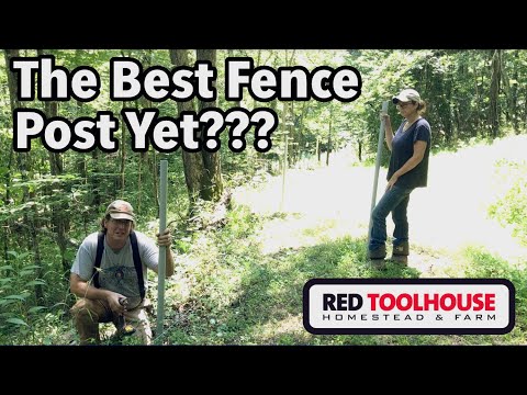 Have we found the BEST Fence Post for PASTURED PIGS?