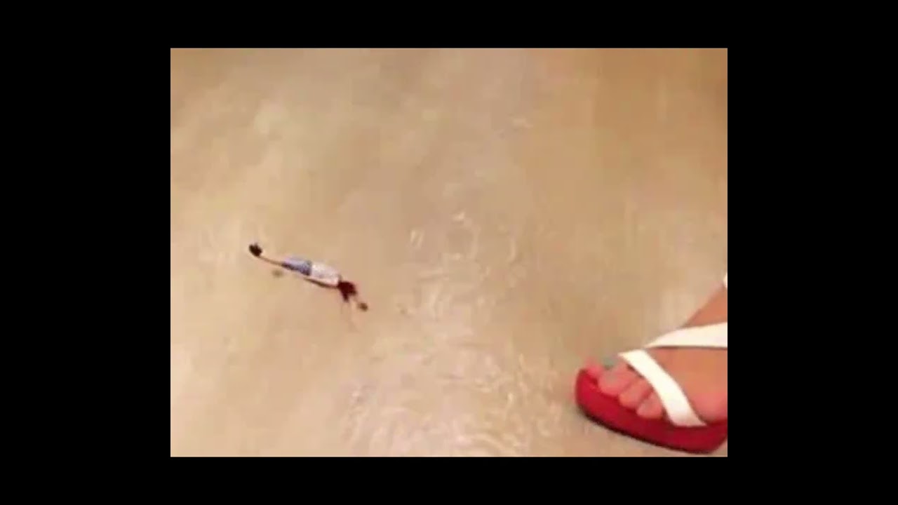 Giantess high heels cush(gore) 