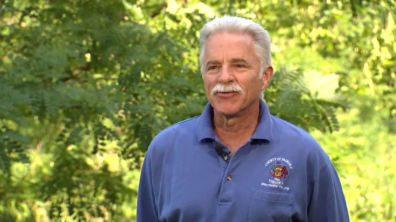 Fair Woods Constructed Wetlands Project