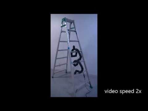 This Robot Snake Scaling a Ladder Is Something You Can't Unsee