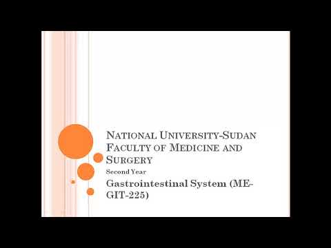 Anatomy of the Duodenum