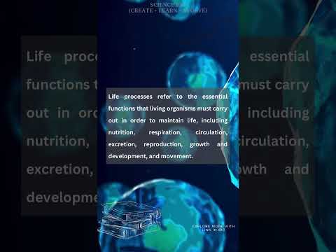 Life Processes simplified